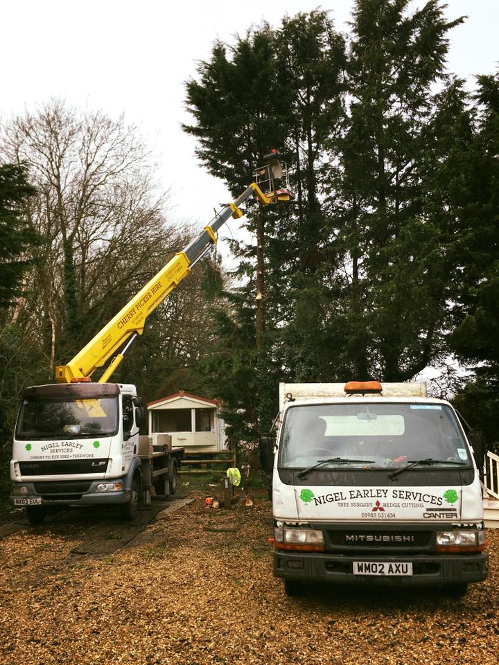Nigel Earley Services | Tree Specialists | Isle of Wight