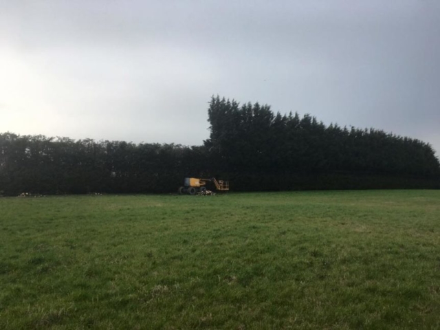 Nigel Earley Services | Tree Specialists | Isle of Wight